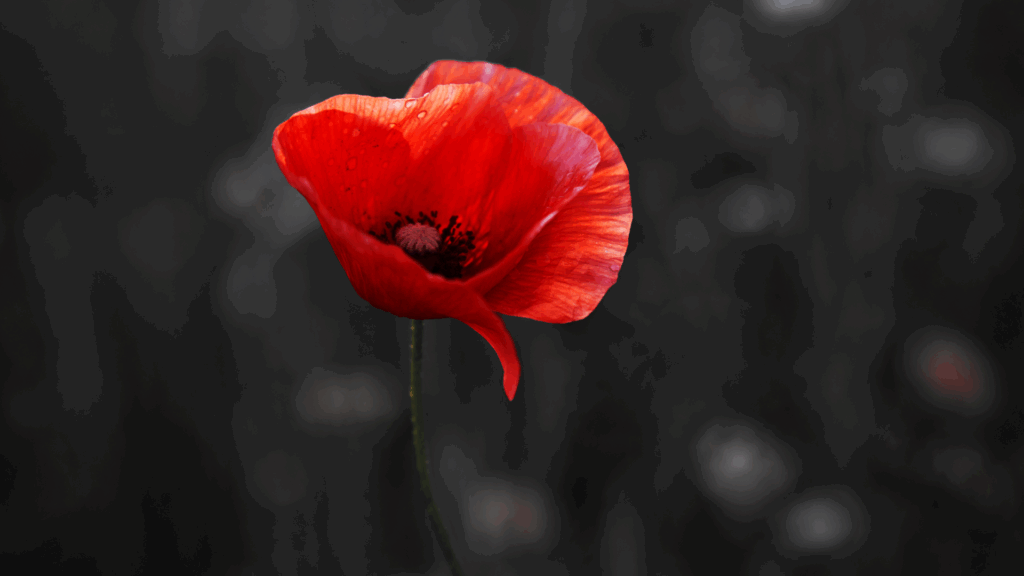 Construction, Utilities and Facilities Management Services | Black ...