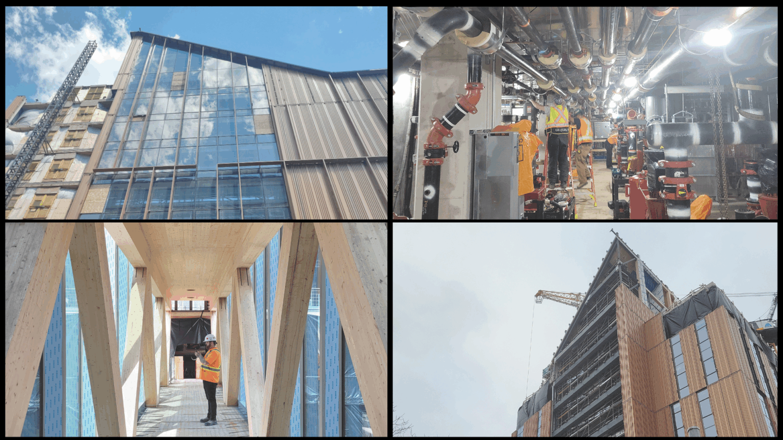 Limberlost Place: Pioneering Net-Zero Timber Construction in Ontario ...